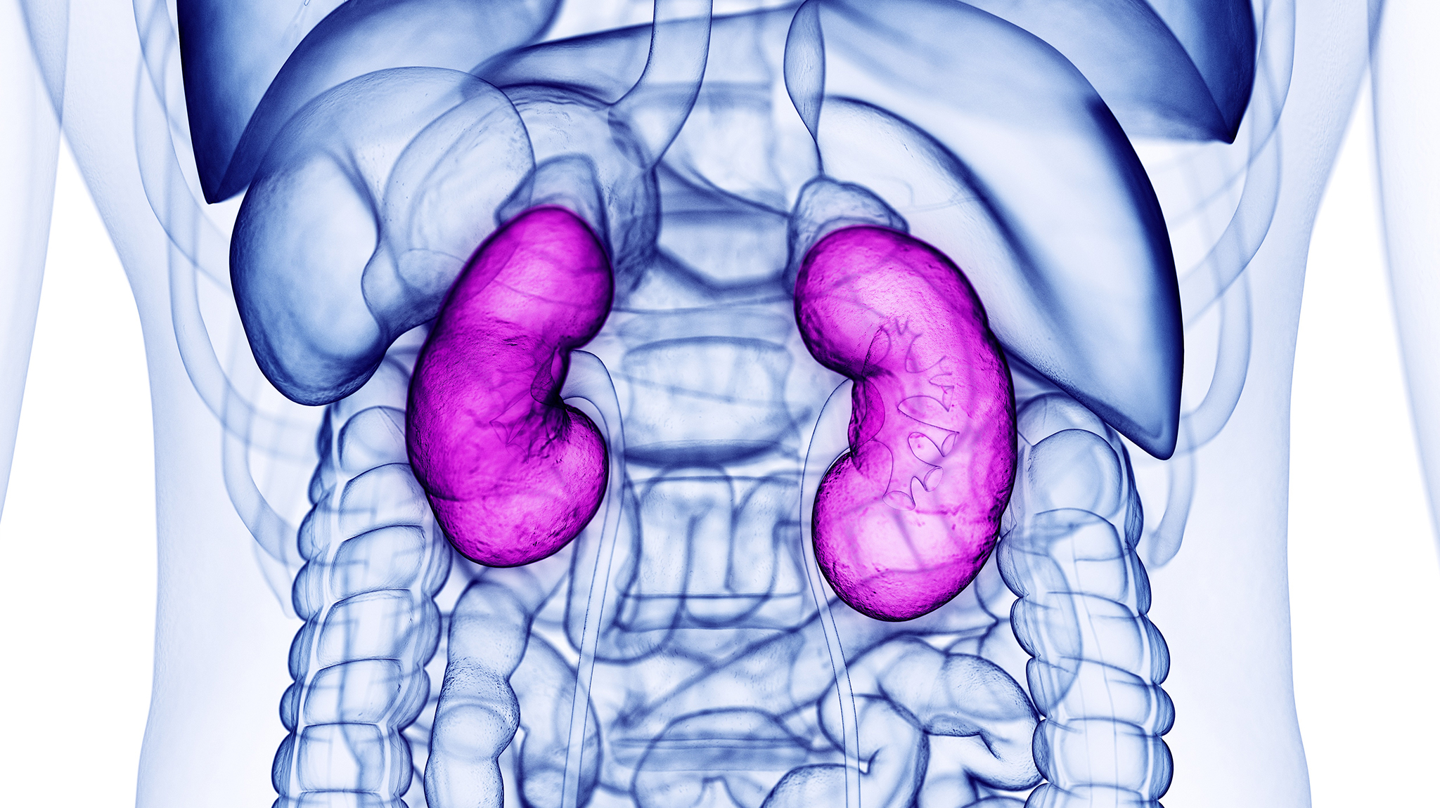 Nephrology - Global Kidney Academy