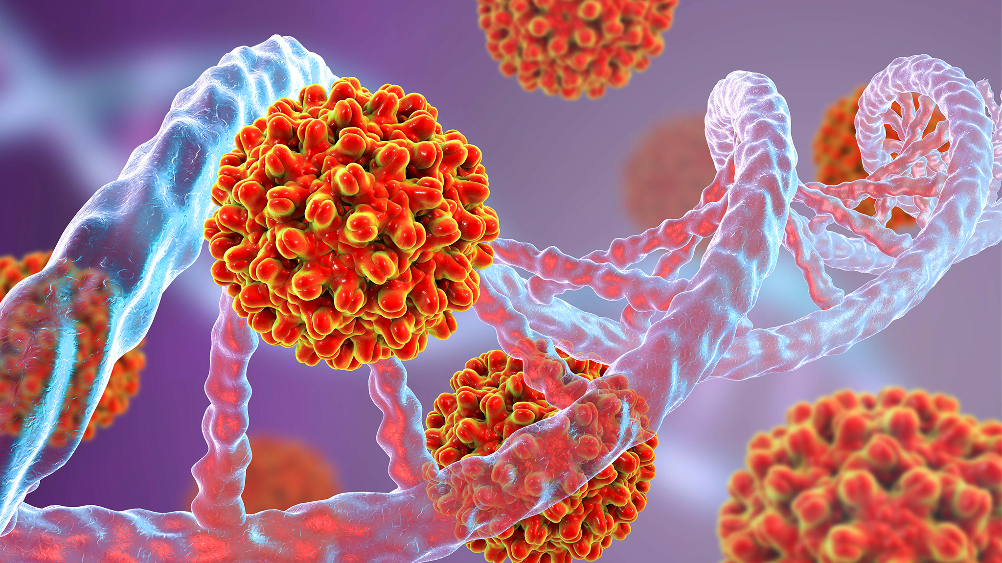 Management of HBV and HCV Patients - Global Kidney Academy